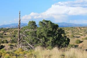 15 Easy and Best Santa Fe Hikes - For All Fitness Levels!