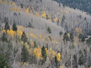 15 Easy and Best Santa Fe Hikes - For All Fitness Levels!