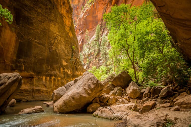 15 Springdale Hotels near Zion National Park - 2024 Guide