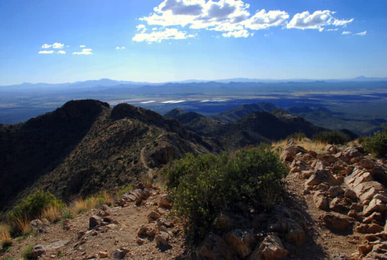 15 Best Things to do in Saguaro National Park - What not to miss!