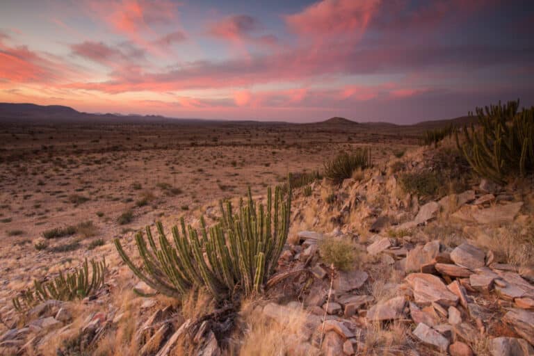 17 Best Things to do in Hurricane, Utah - worth a visit!